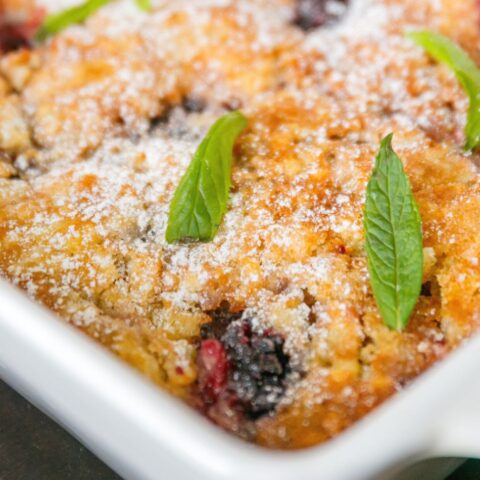 Easy Bisquick Blackberry Cobbler-The Lemon Diaries